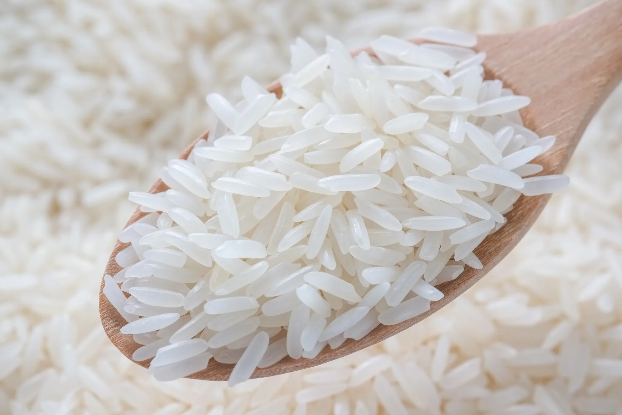 New rice vs Old rice, what's the difference? | Kasalong Rice
